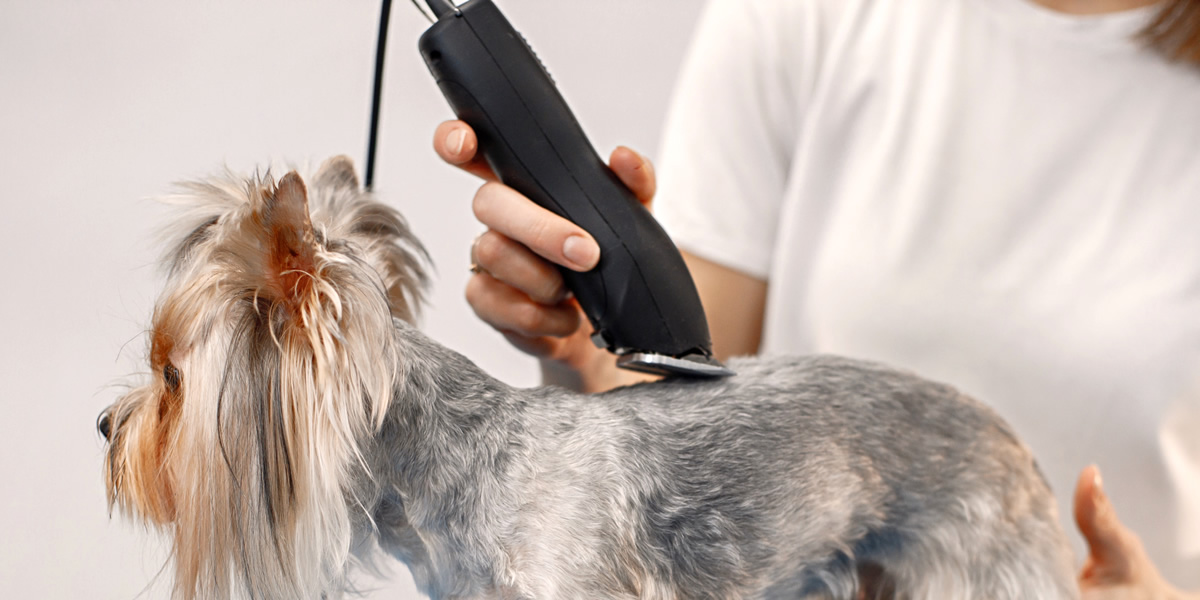 As #7 Melhores Máquinas de Tosa em 2026 - Recomenda360